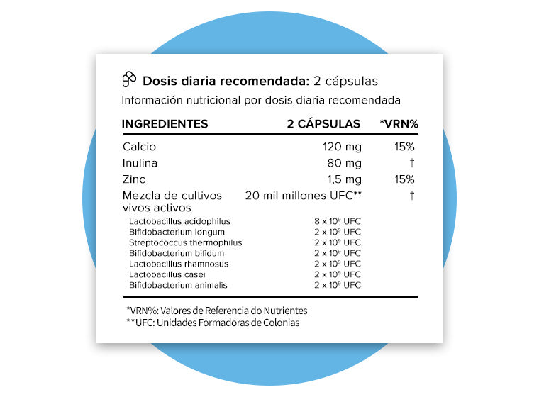 Complejo Probiótico – Theonia ES